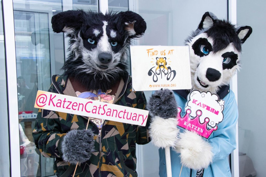 FurUM: inside Malaysia’s biggest furry convention – with CT Wolf ...